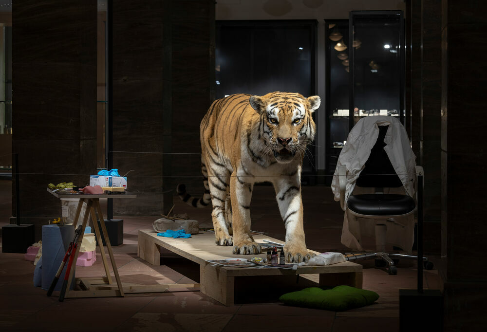 Als Shir Khan ins Museum kam – Museum Wiesbaden